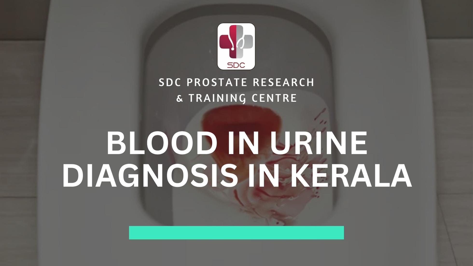 blood in urine diagnosis kerala - sdcprostatecentre.com