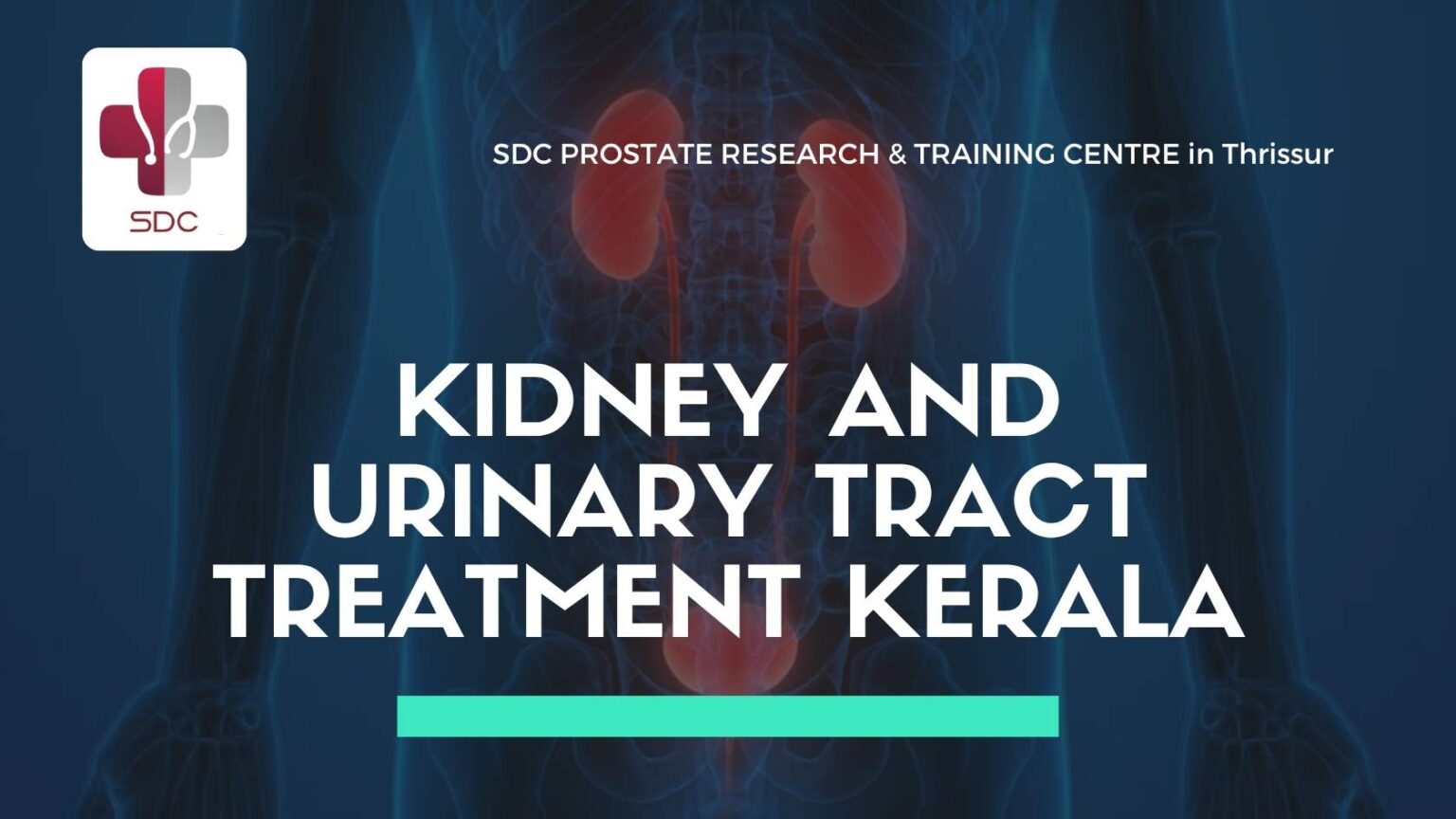 kidney and urinary tract treatment kerala - sdcprostatecentre.com