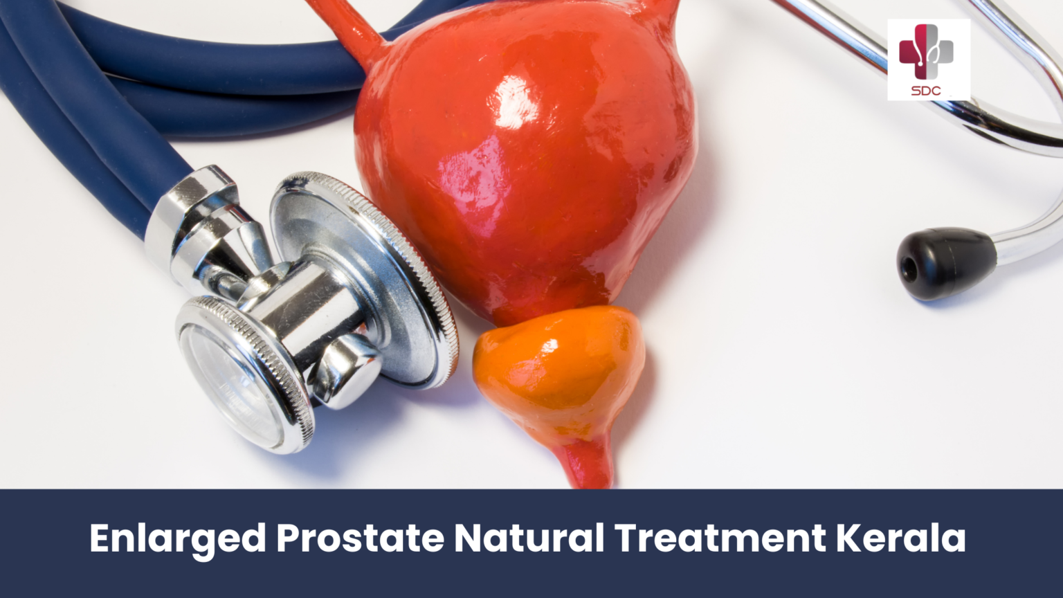 Enlarged Prostate Natural Treatment Kerala - sdcprostatecentre.com